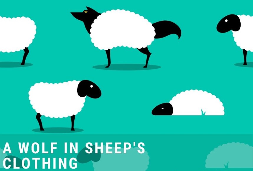 Goats and Sheep - Coach Mahr